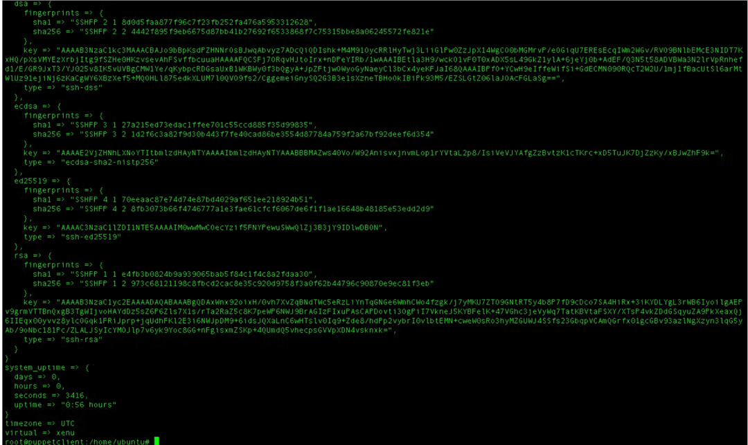 Lab Guide: Puppet — GeekyAnts - GeekyAnts