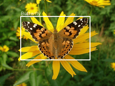 How to Train YOLOv3 to Detect Custom Objects? (Demo Video Included ...